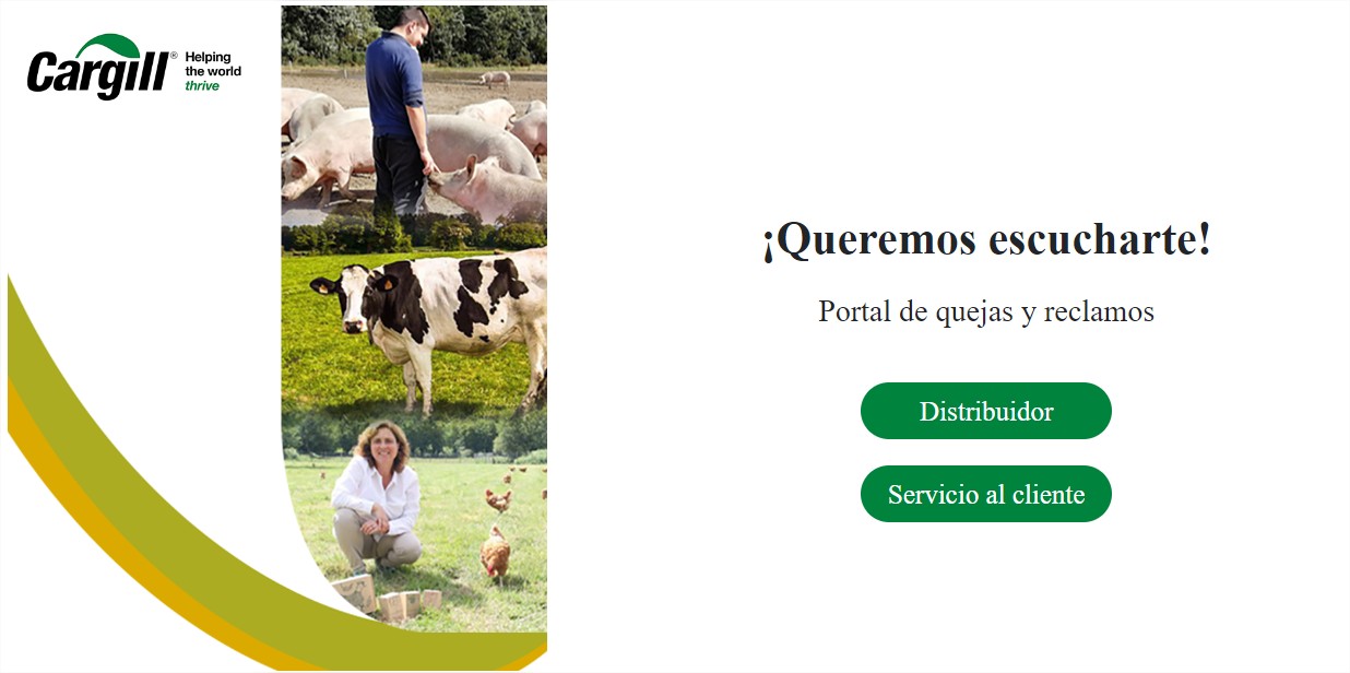 Carmen Herrera|Portafolio